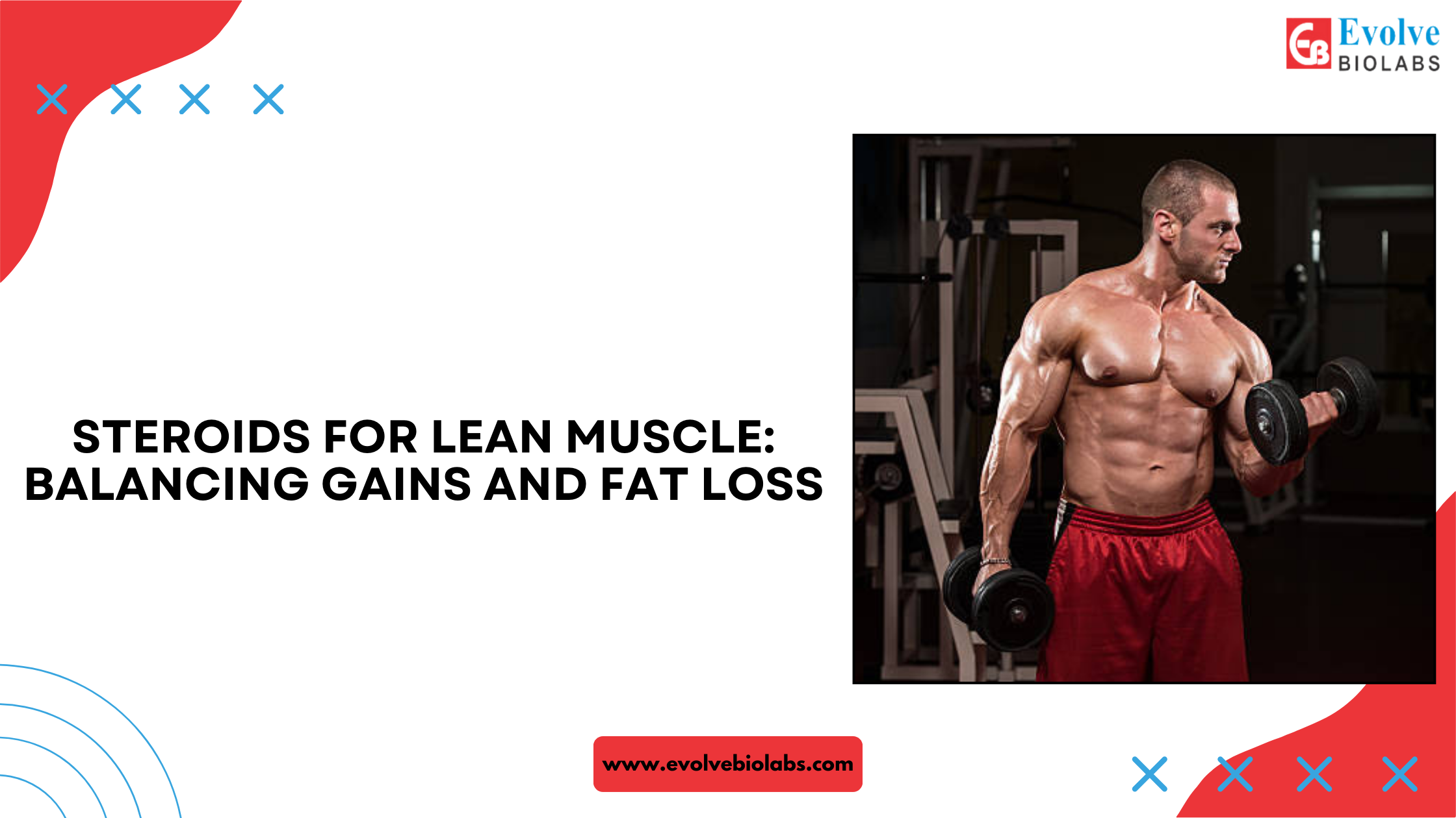 Steroids for Lean Muscle: Balancing Gains and Fat Loss | Evolve Biolabs
